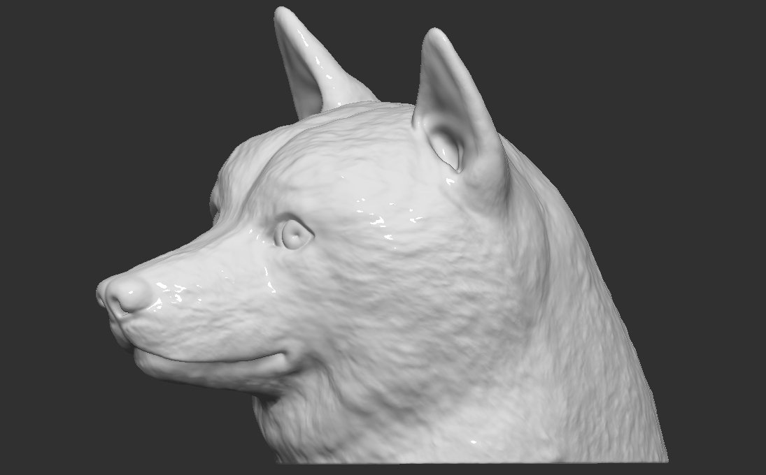 Doge Meme Shiba Inu Head - 3D Model by PrintedReality