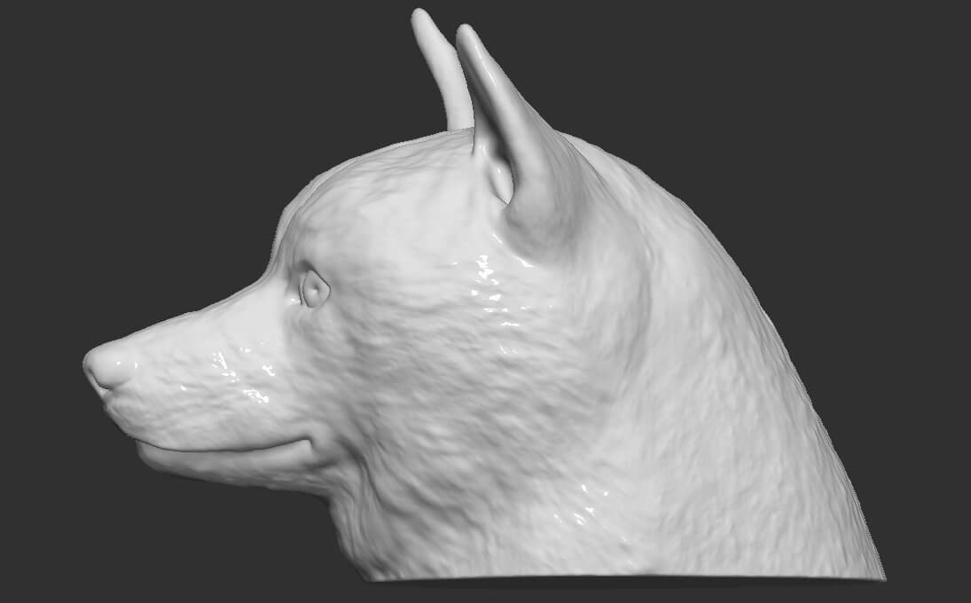 Doge Meme Shiba Inu Head - 3D Model by PrintedReality