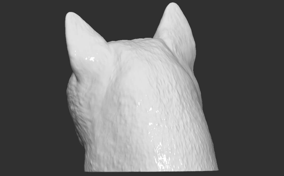 Doge Meme Shiba Inu Head - 3D Model by PrintedReality