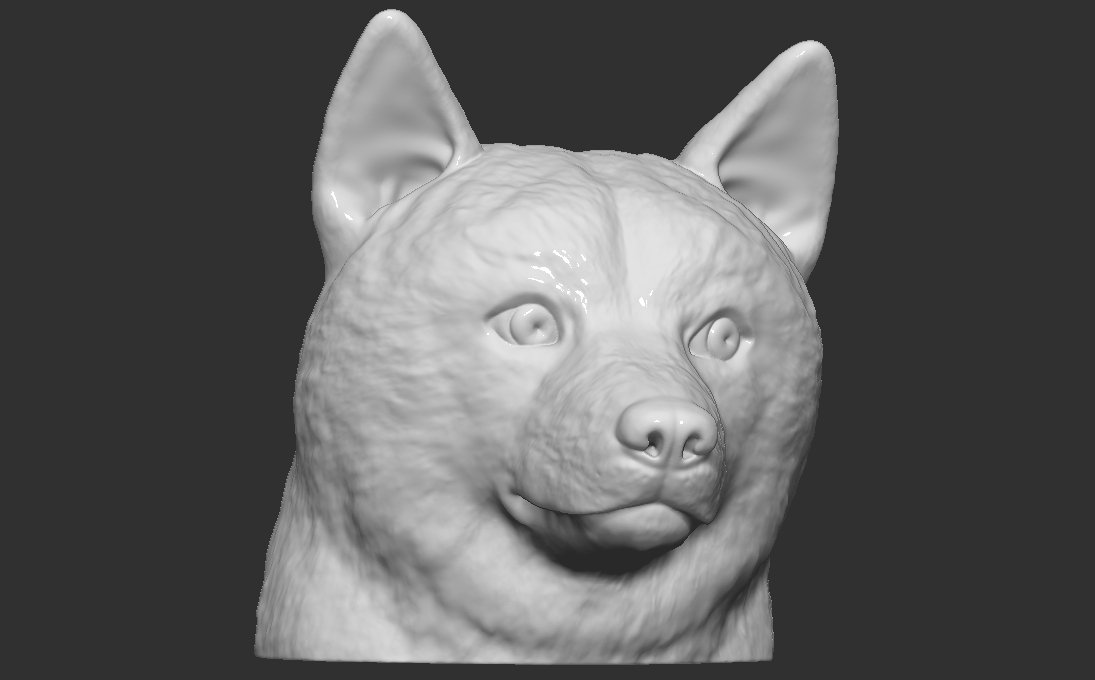 Doge Meme Shiba Inu Head - 3D Model by PrintedReality