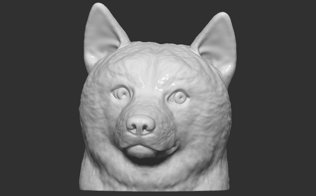 Doge Meme Shiba Inu Head - 3D Model by PrintedReality