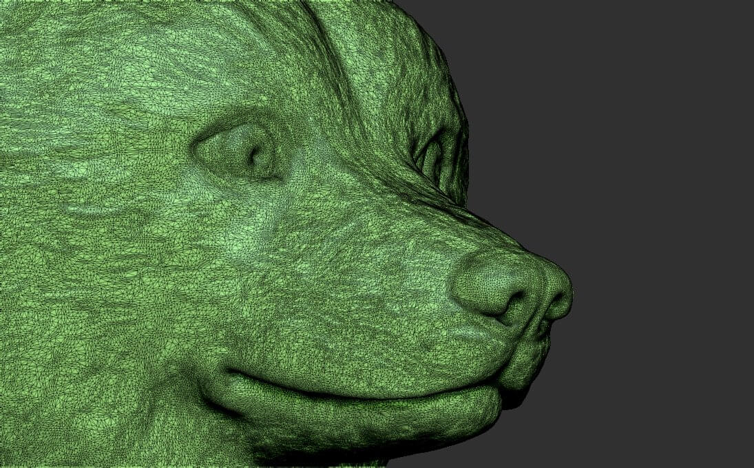 Doge Meme Shiba Inu Head - 3D Model by PrintedReality