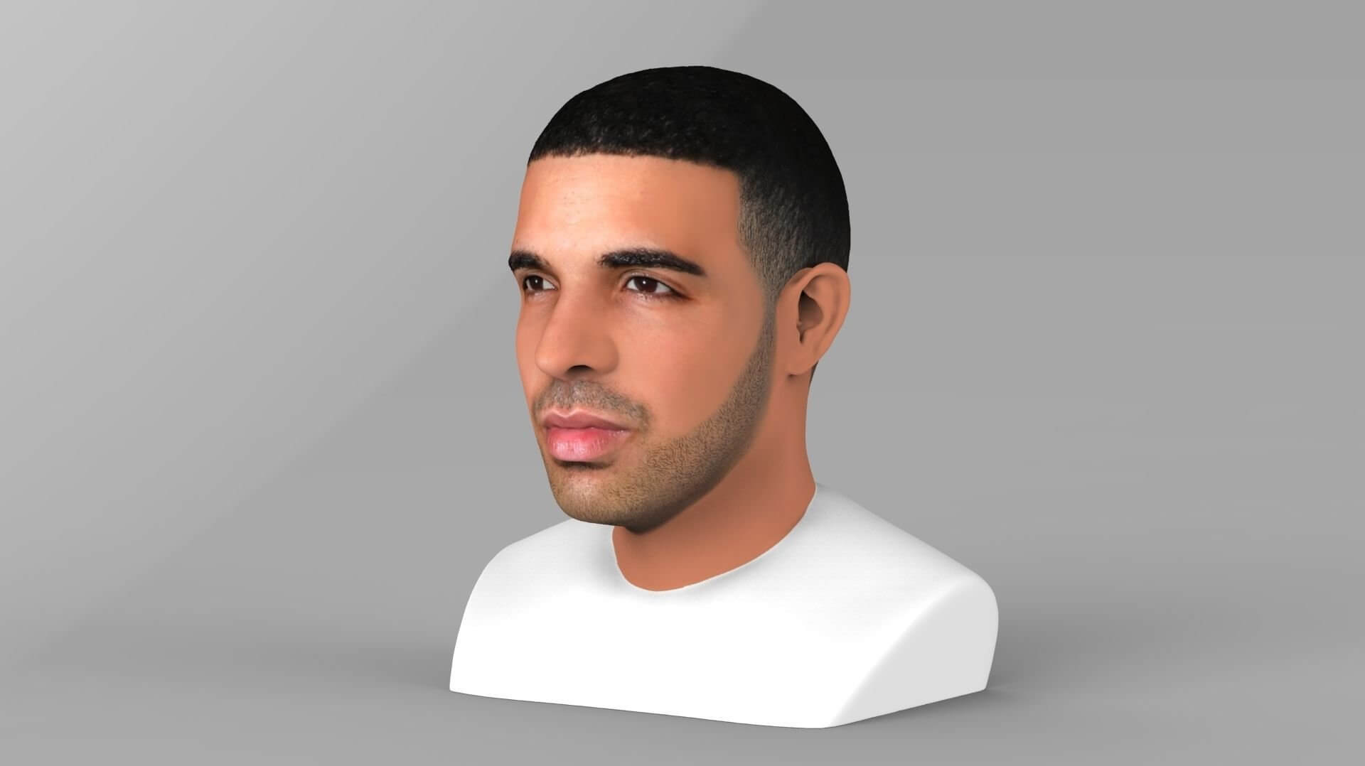 Drake Bust (Full Color) - 3D Model by PrintedReality