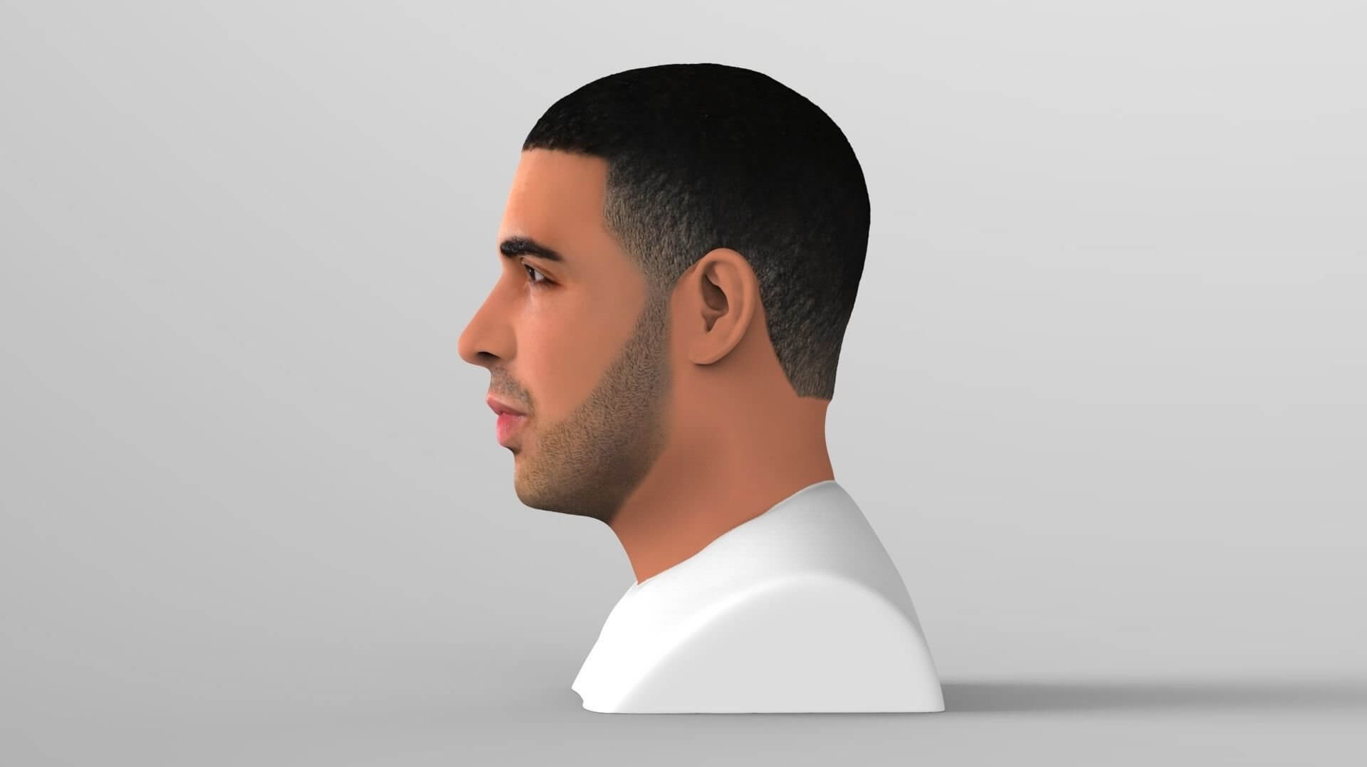 Drake Bust (Full Color) - 3D Model by PrintedReality