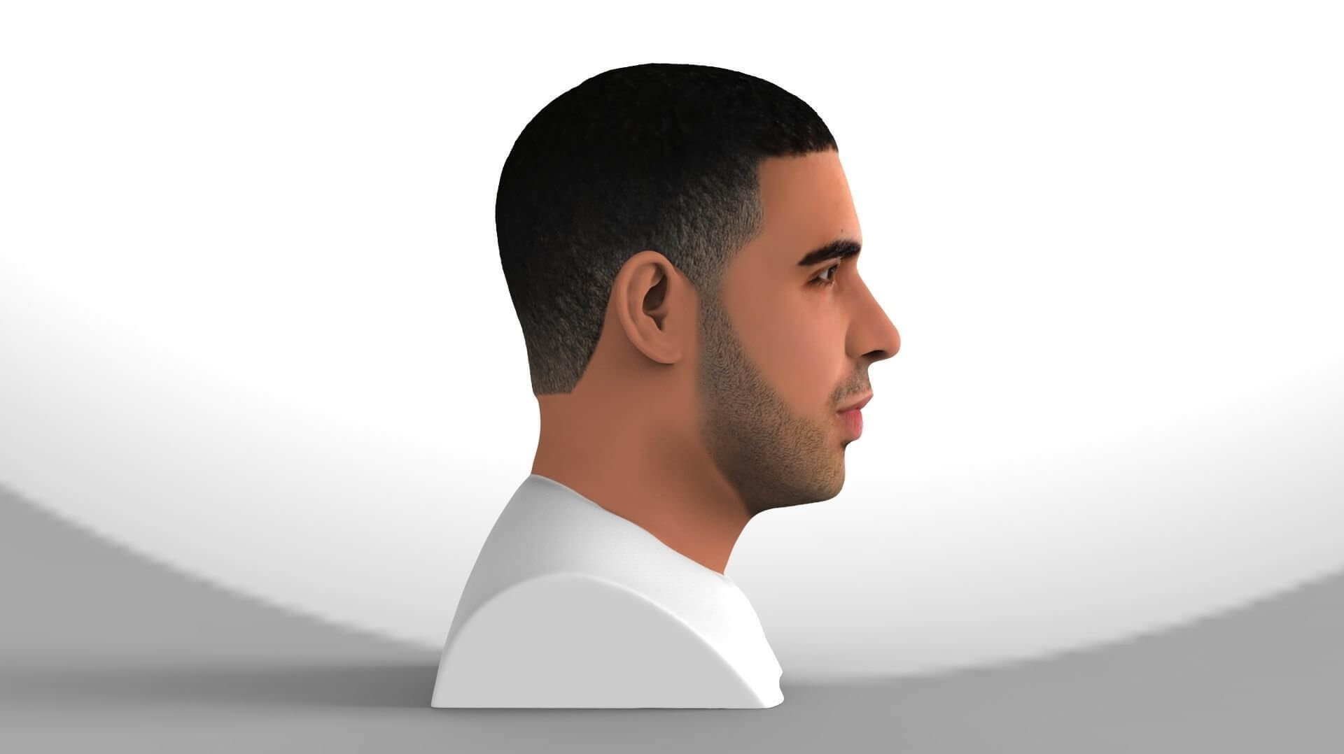Drake Bust (Full Color) - 3D Model by PrintedReality
