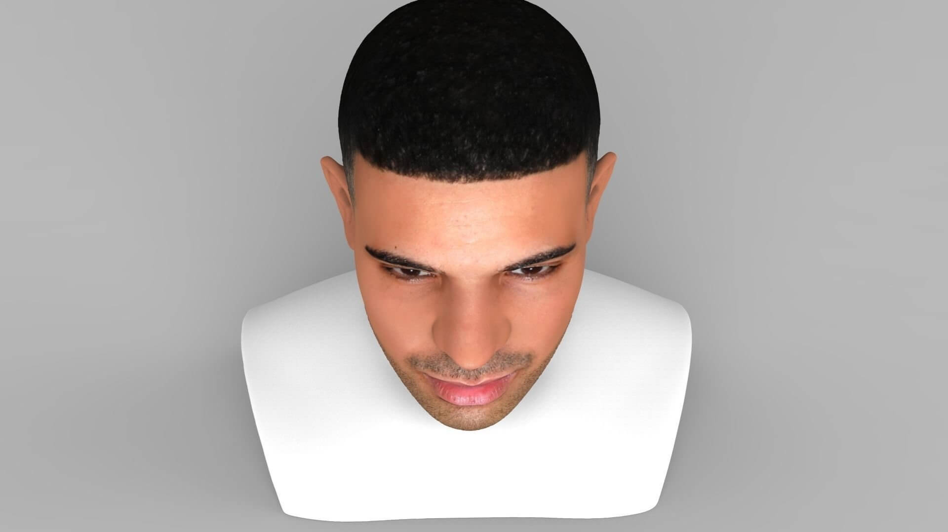 Drake Bust (Full Color) - 3D Model by PrintedReality