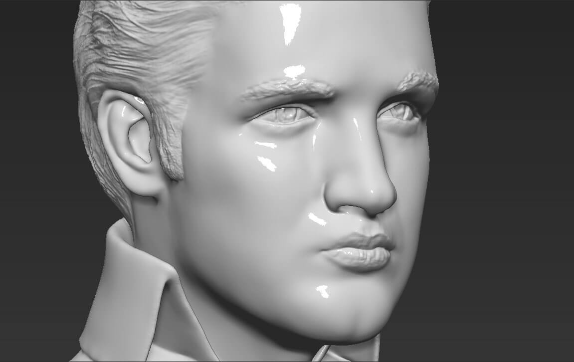 Elvis Presley Bust - 3D Model by PrintedReality