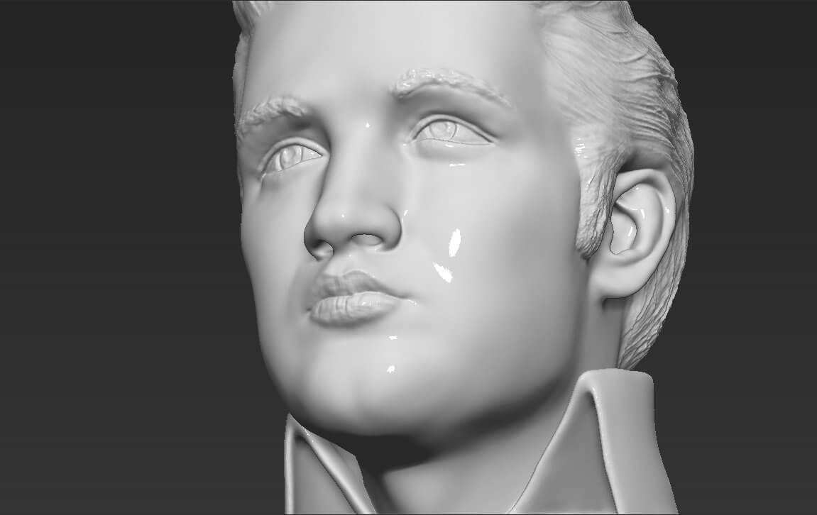 Elvis Presley Bust - 3D Model by PrintedReality