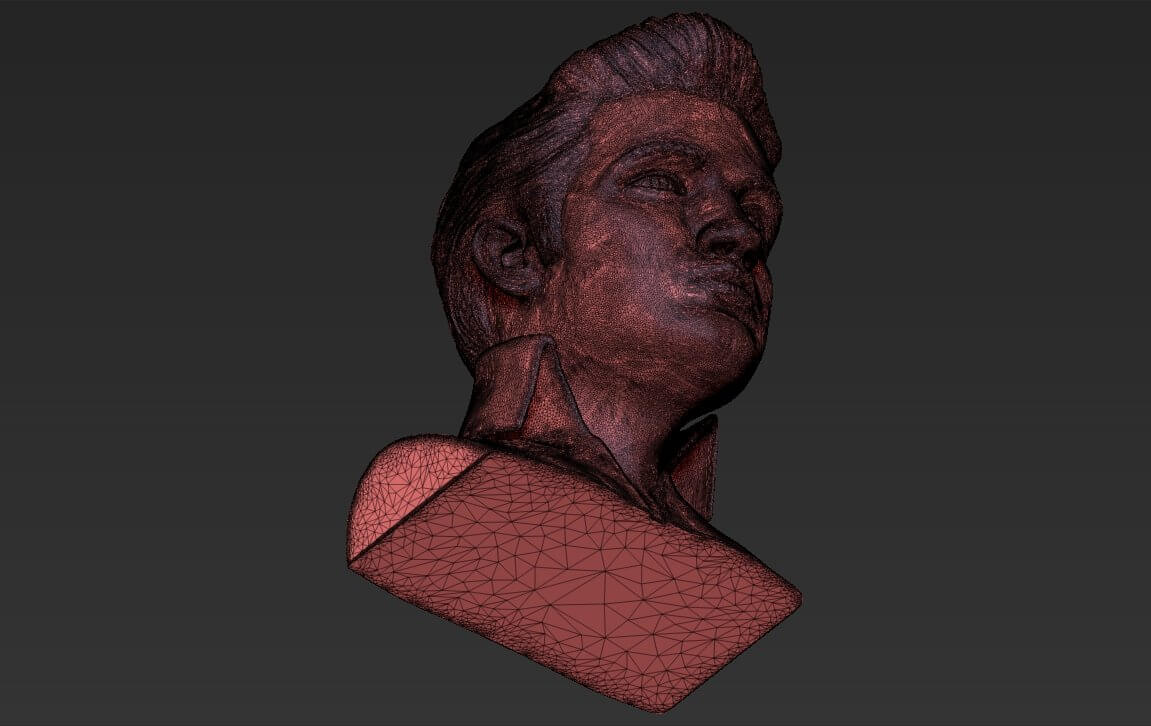 Elvis Presley Bust - 3D Model by PrintedReality