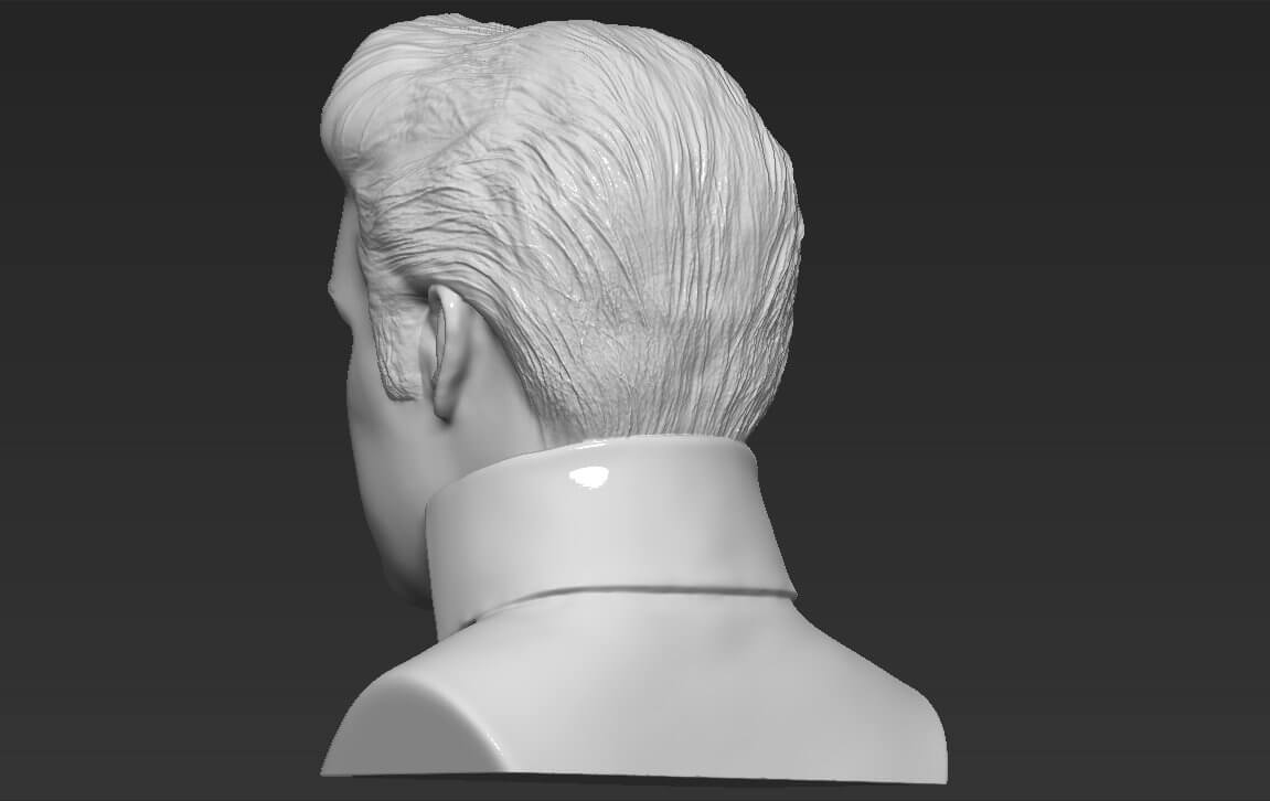 Elvis Presley Bust (Full Color) - 3D Model by PrintedReality