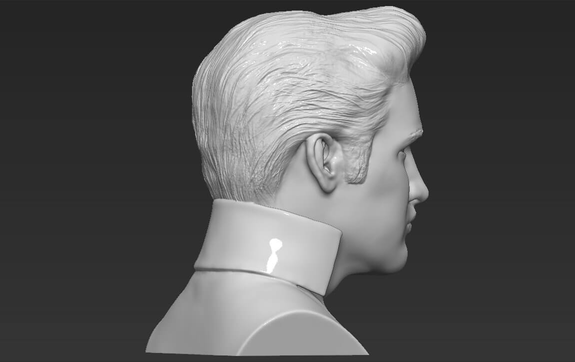 Elvis Presley Bust (Full Color) - 3D Model by PrintedReality