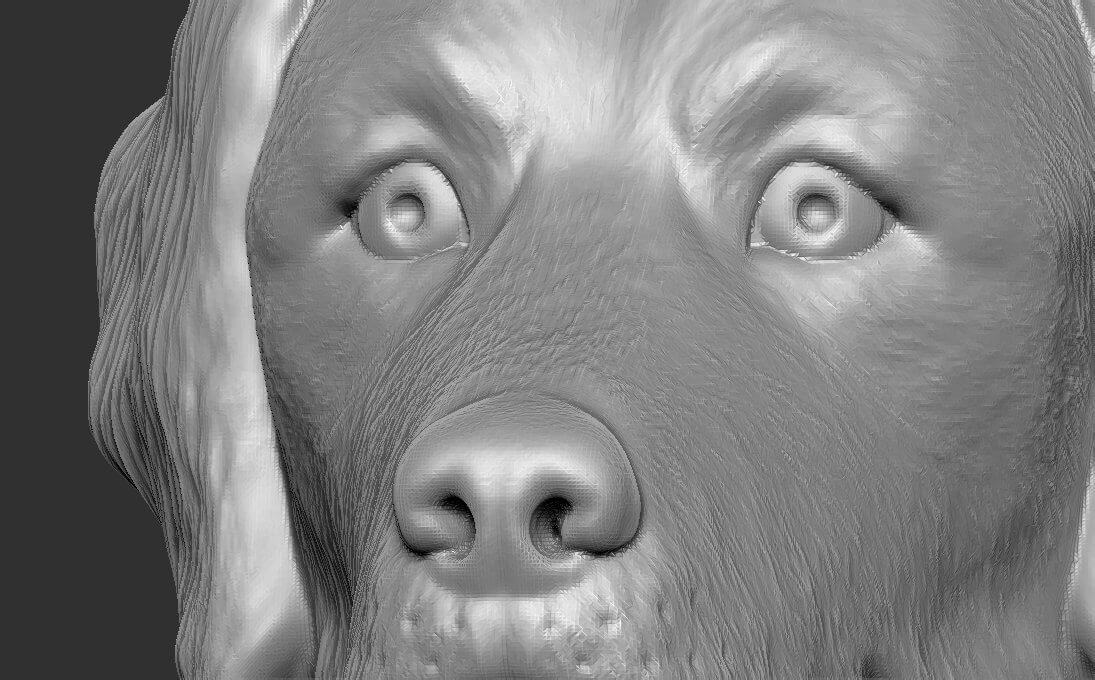 Golden Retriever Head - 3D Model by PrintedReality