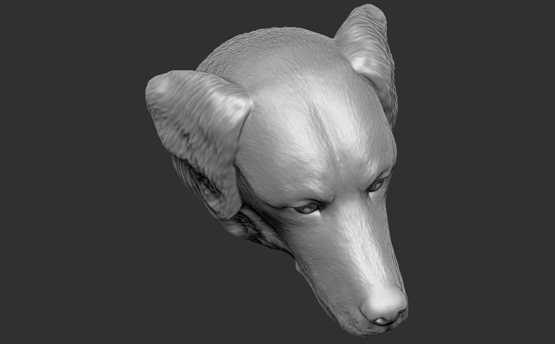 Golden Retriever Head - 3D Model by PrintedReality