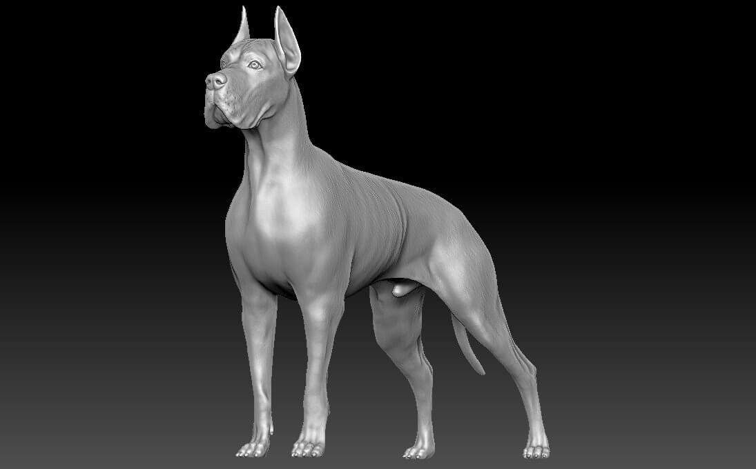 Great Dane Dog - 3D Model by PrintedReality