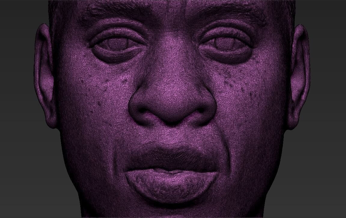 Jay-Z Bust (Full Color) 3D Model by PrintedReality