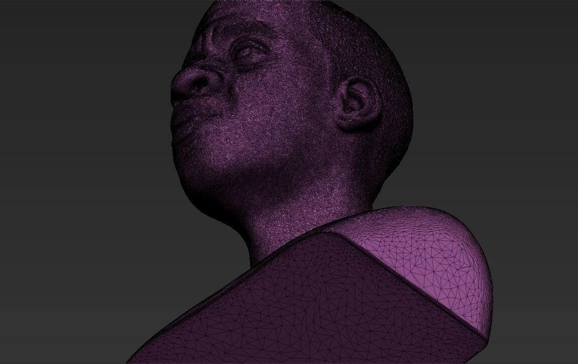 Jay-Z Bust (Full Color) 3D Model by PrintedReality