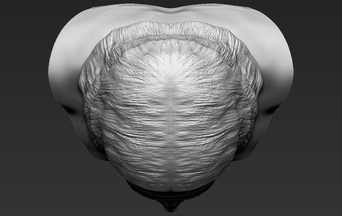 Jesus Reconstruction Based On Shroud of Turin - 3D Model by PrintedReality