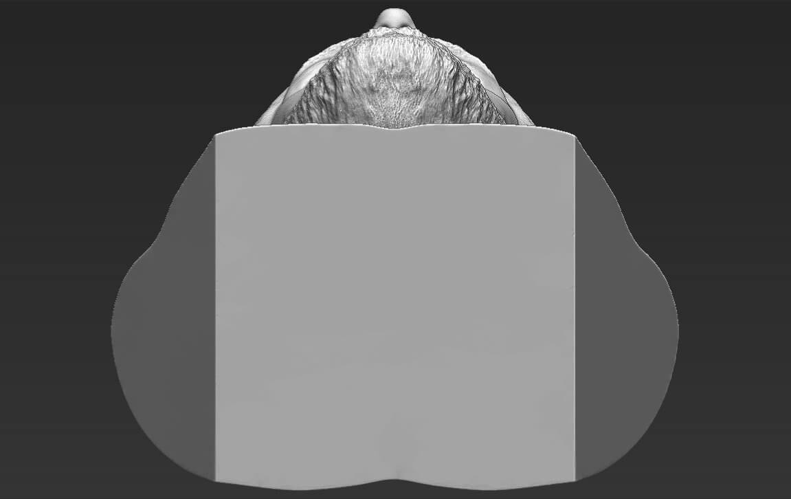 Jesus Reconstruction Based On Shroud of Turin - 3D Model by PrintedReality