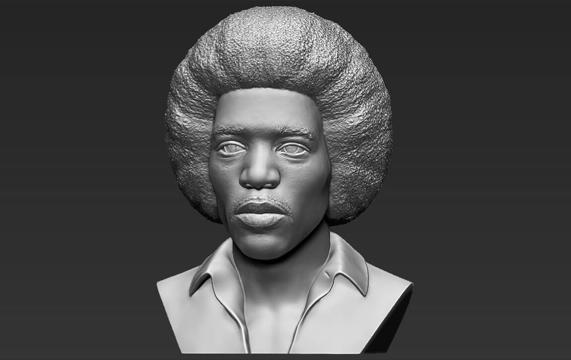 Jimi Hendrix Bust - 3D Model by PrintedReality