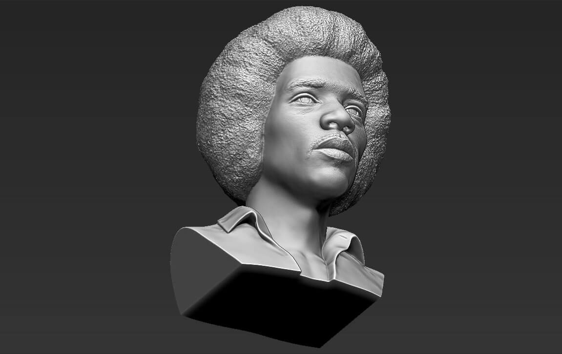 Jimi Hendrix Bust - 3D Model by PrintedReality