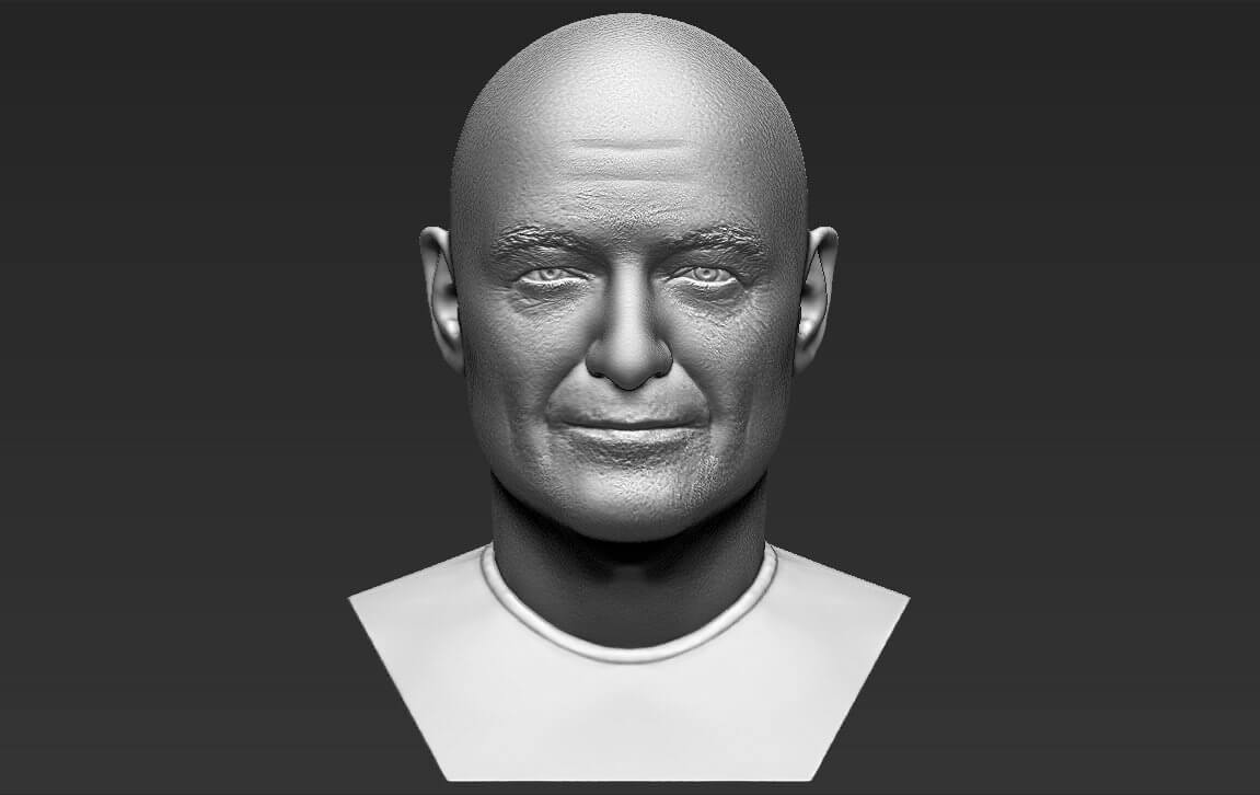 John Locke from Lost Bust - Print Ready 3D Model by PrintedReality