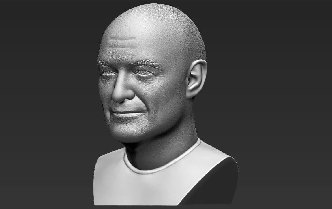 John Locke from Lost Bust - 3D Model by PrintedReality
