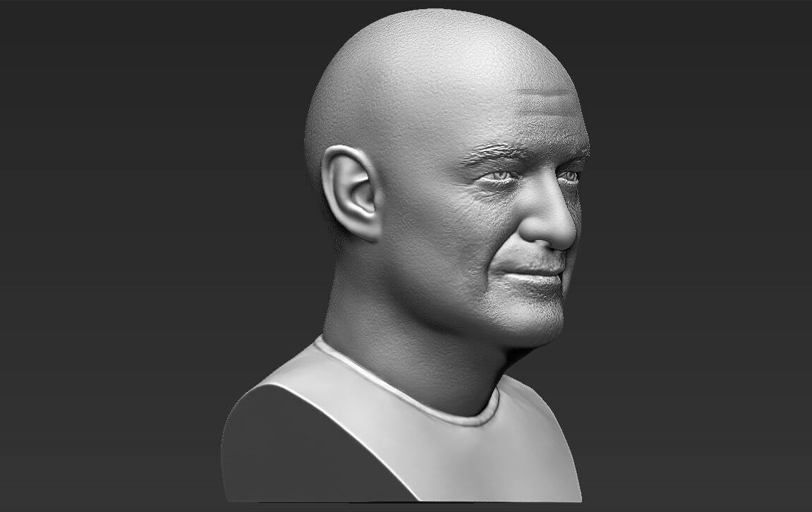 John Locke from Lost Bust - 3D Model by PrintedReality