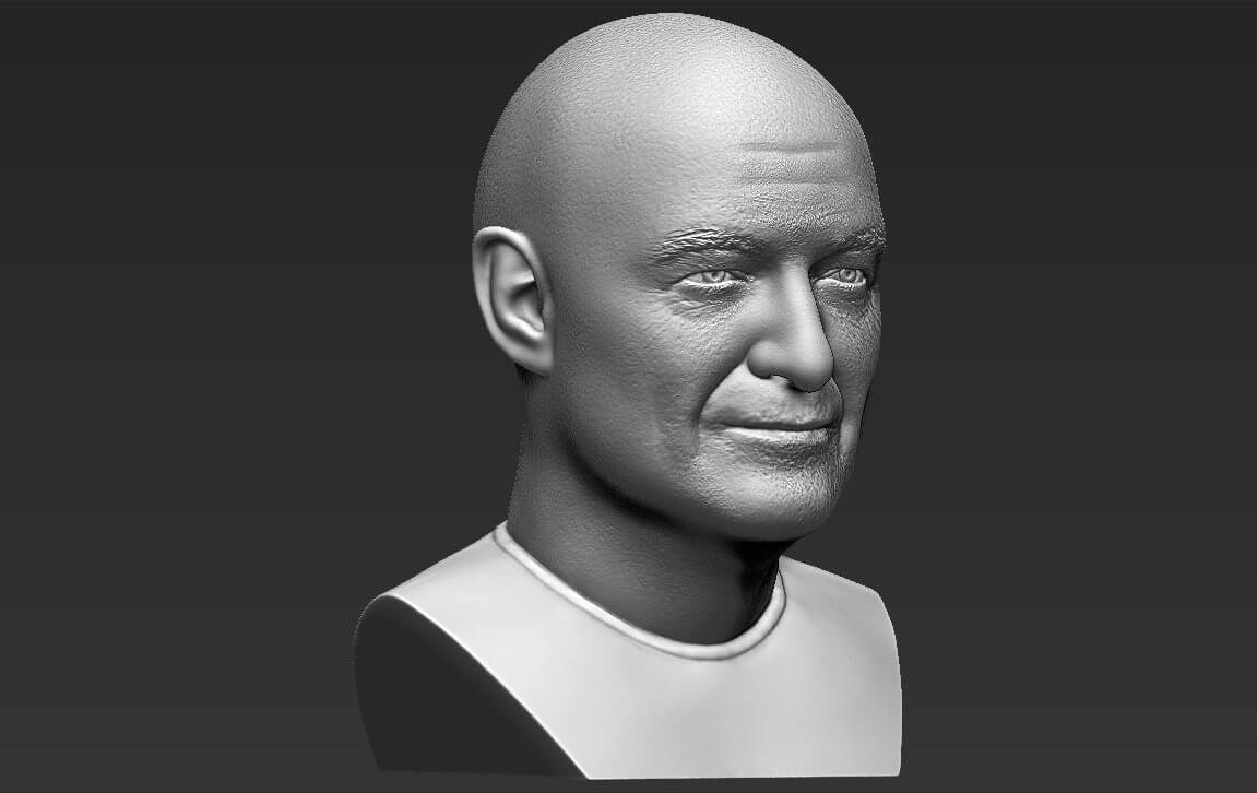 John Locke from Lost Bust - 3D Model by PrintedReality