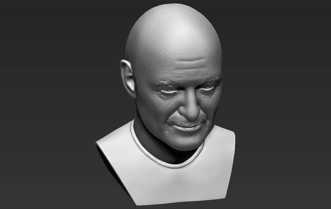 John Locke from Lost Bust - 3D Model by PrintedReality