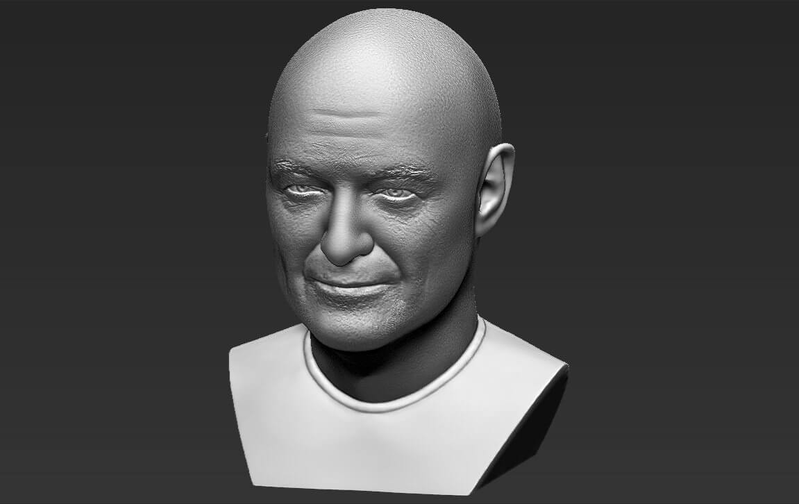 John Locke from Lost Bust - 3D Model by PrintedReality