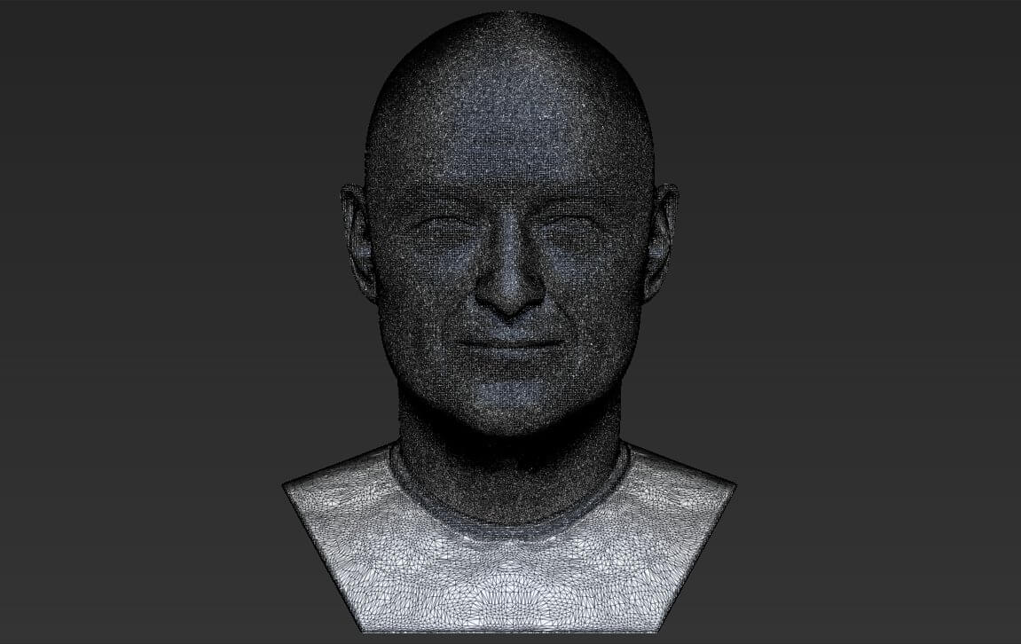 John Locke from Lost Bust - 3D Model by PrintedReality