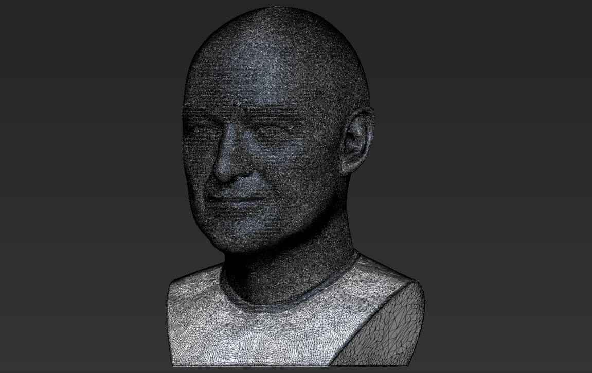 John Locke from Lost Bust - 3D Model by PrintedReality