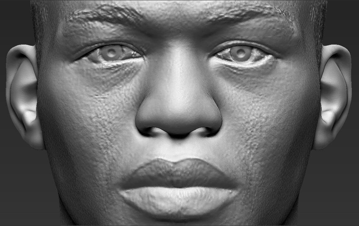 Jon Jones Bust - 3D Model by PrintedReality