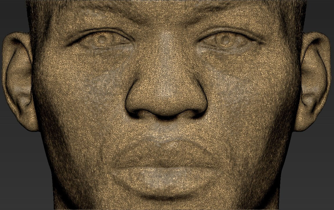 Jon Jones Bust - 3D Model by PrintedReality