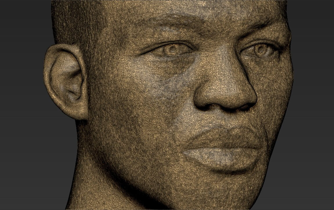 Jon Jones Bust - 3D Model by PrintedReality