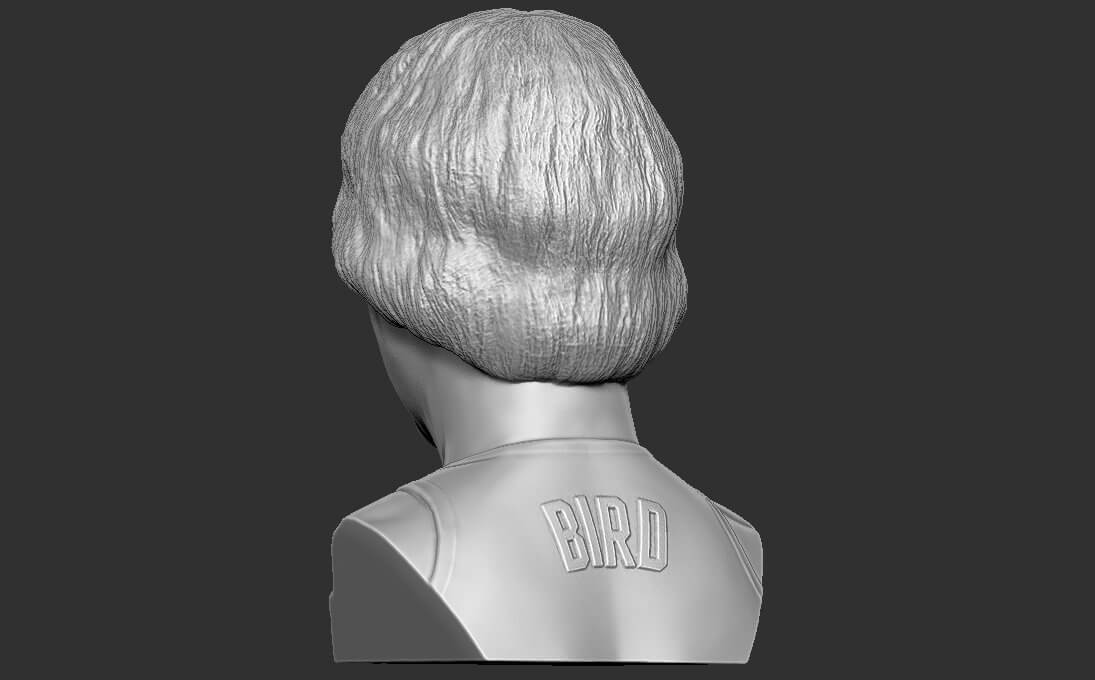 Larry Bird Bust - 3D Model by PrintedReality