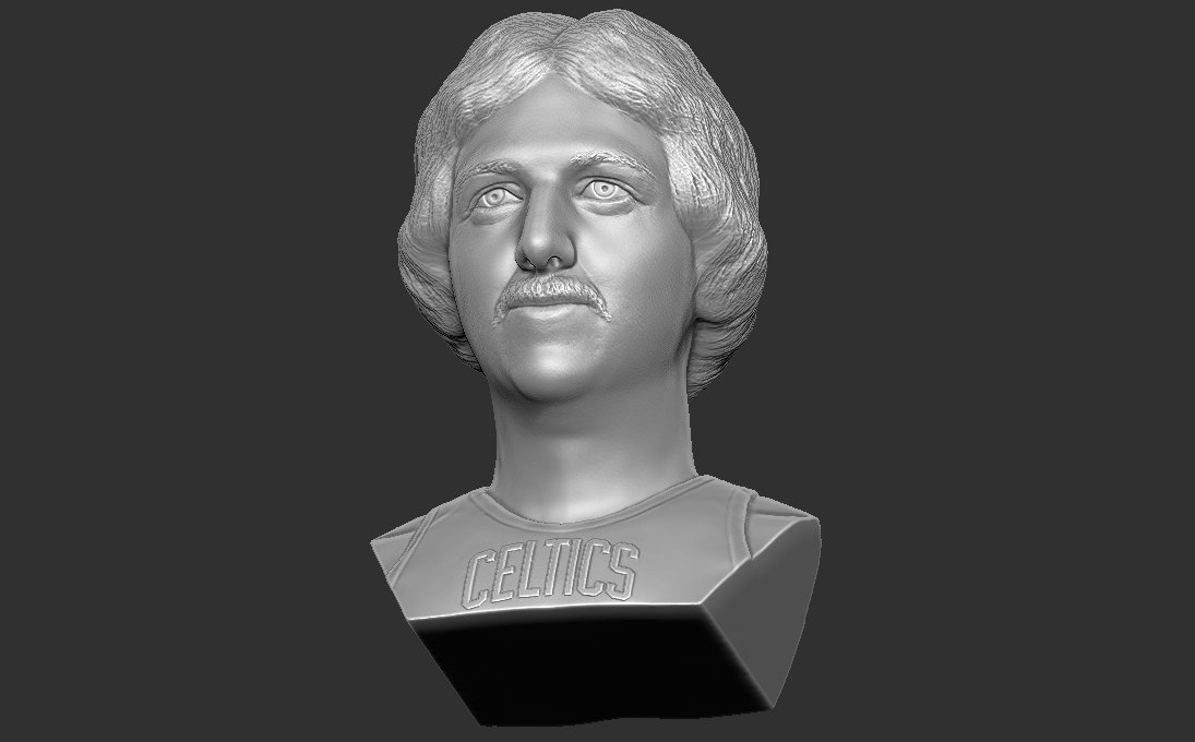 Larry Bird Bust - 3D Model by PrintedReality