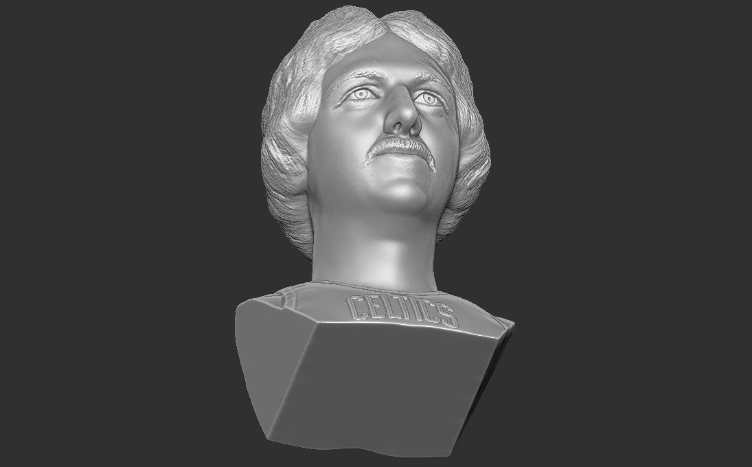 Larry Bird Bust - 3D Model by PrintedReality