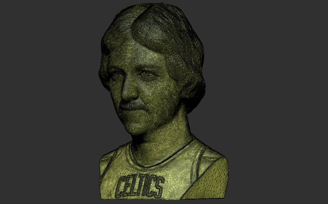 Larry Bird Bust - 3D Model by PrintedReality