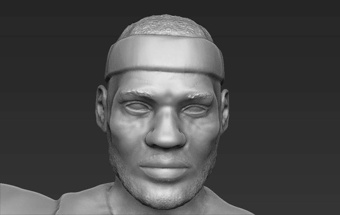 Lebron James - 3D Model by PrintedReality
