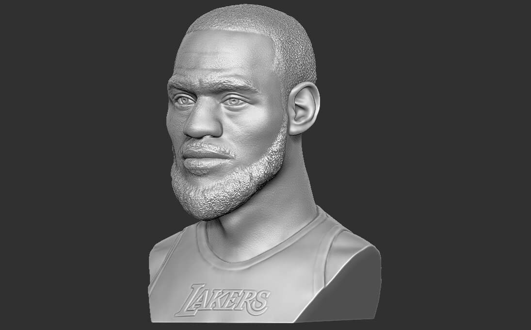 Lebron James Bust - 3D Model by PrintedReality
