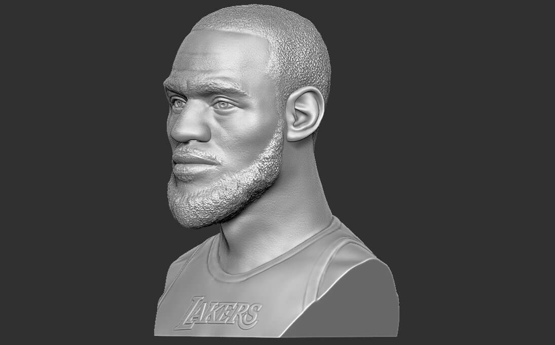 Lebron James Bust - 3D Model by PrintedReality
