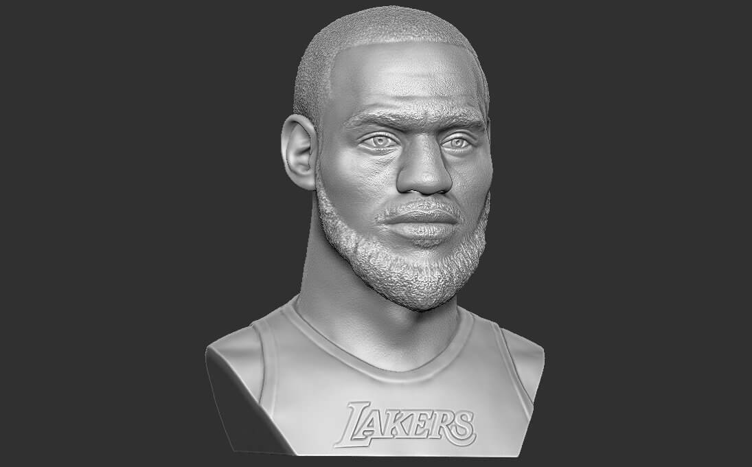 Lebron James Bust - 3D Model by PrintedReality