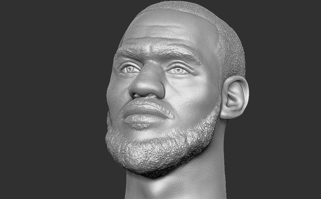Lebron James Bust - 3D Model by PrintedReality