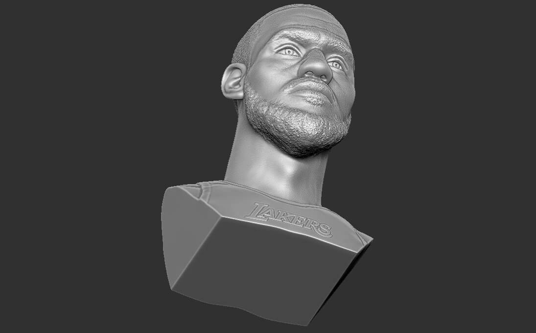 Lebron James Bust - 3D Model by PrintedReality