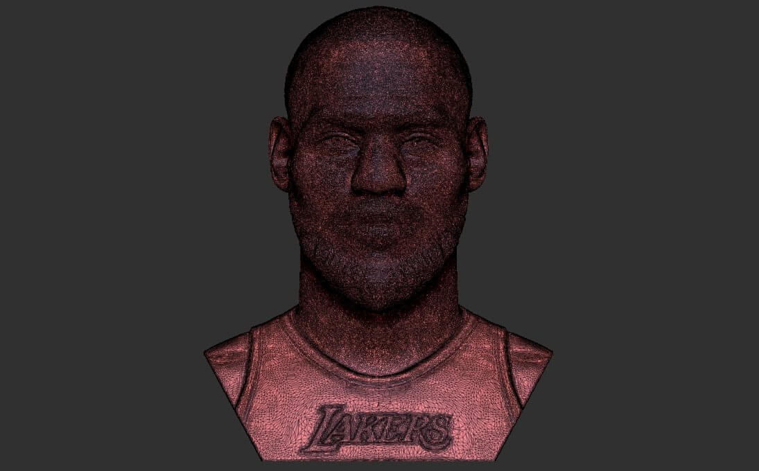 Lebron James Bust - 3D Model by PrintedReality
