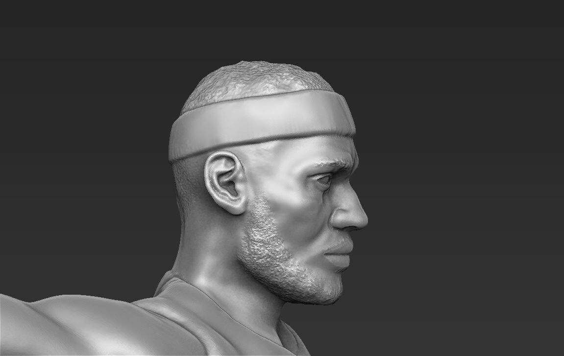 Lebron James (Full Color) - 3D Model by PrintedReality