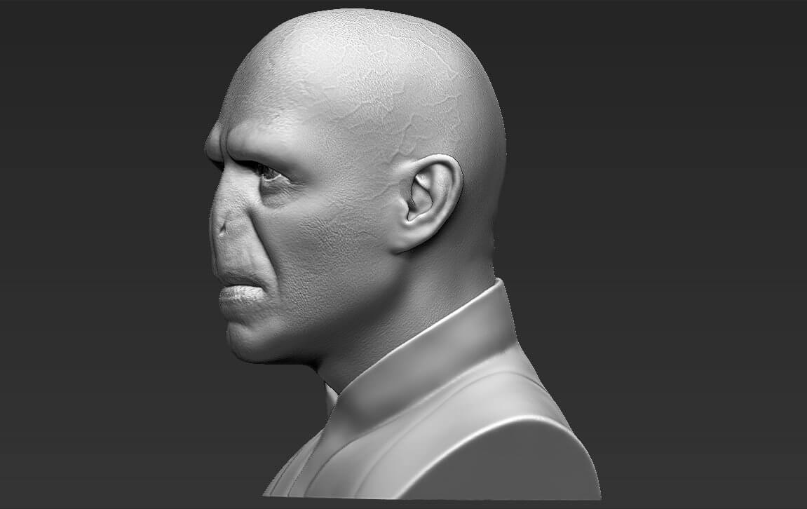 Lord Voldemort Bust (Full Color) - 3D Model by PrintedReality