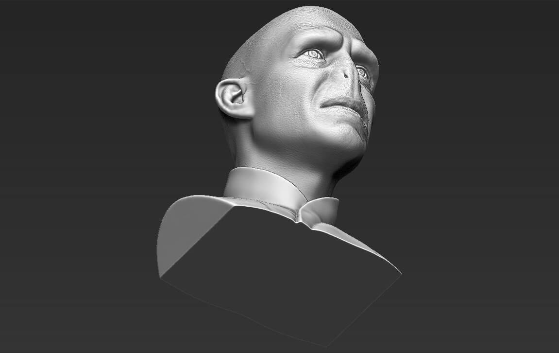 Lord Voldemort Bust (Full Color) - 3D Model by PrintedReality