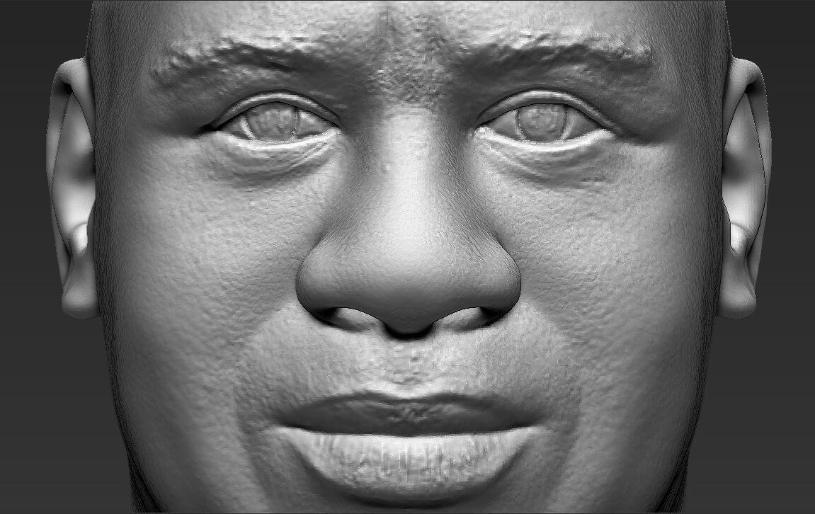 Magic Johnson Bust - 3D Model by PrintedReality